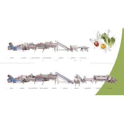 China 100kg/H Industrial Grade Fresh Vegetable Washing And Drying Machine SS304 for sale