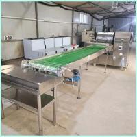 China Full Automatic Spring Roll Machine 120 Pcs/Min with Custom Molds and Electric Heating for sale