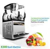 China Commercial 2x12L Dual Tank Slush Machine 110V 220V Slushie Granita Maker for sale