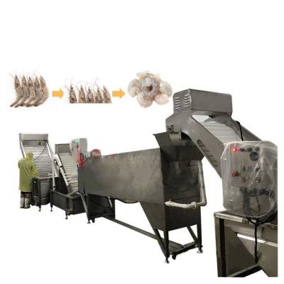 China Drum Type Shrimp Peeling and Grading Machine 500kg/h Shrimp Head Remover for sale