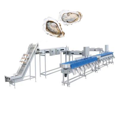 China Stable Performance Fish Processing Machine Crawfish Oyster Sorting Machine 8+1 Level 220V for sale