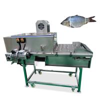 China Tilapia Cutter Fish Processing Machine 380V 1.1KW Head Tail Removal Cutting Equipment for sale