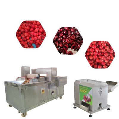 China Commercial Cherry Pitting Machine 10000 Cherries Per Hour Stainless Steel for sale