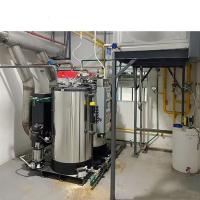 China LSS Series 500 kg Gas Oil Fired Steam Boiler 0.4 Mpa for Industrial Laundry for sale