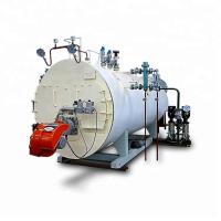 China Horizontal Type Methane Gas Fired Steam Boiler 10 Ton 1.25 Mpa for Food Industry for sale