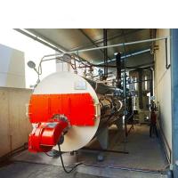 China Horizontal Type Methane Gas Fired Steam Boiler 10 Ton 1.25 Mpa for Food Industry for sale