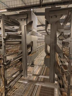 China feeding system for sale