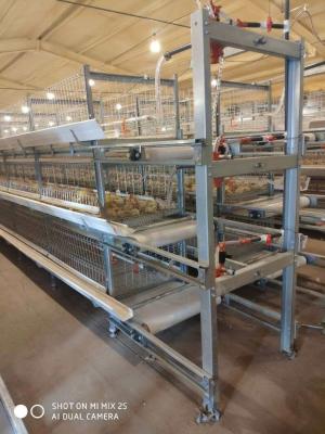 China Stacked broiler cage for sale