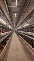 China 2026 Fully Automatic Poultry Cages, Suitable for Poultry Farms for sale