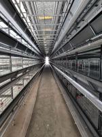 China Industrial Grade H-Type Stacked Battery Cages with Overseas Engineering Support for sale