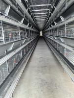 China Fully Automatic H-Type Layer Cages for Commercial Layer Farms for sale