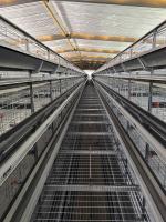 China Fully Automatic H-Type Layer Cages for Commercial Layer Farms for sale