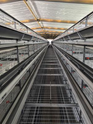 China Fully Automatic H-Type Layer Cages for Commercial Layer Farms for sale