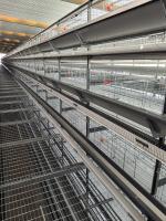 China Fully Automatic H-Type Layer Cages for Commercial Layer Farms for sale