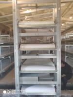 China Longitudinal automatic manure removal system for sale