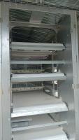 China Longitudinal automatic manure removal system for sale