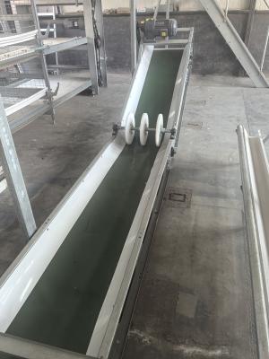 China Transverse Automatic Manure Removal System for sale