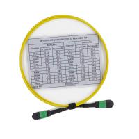 China Female OS2 9/125 MPO MTP Cable 12 Fibre Multimode Patch Cord for High-Density Data Centers for sale