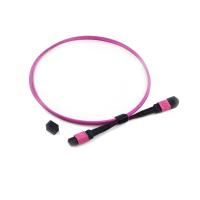 China 12 Fibre MPO MTP Patch Cord with Low Insertion Loss and 3.0mm PVC Jacket for High Performance for sale