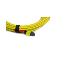 China Low Insertion Loss 3.0mm MPO Trunk Cable with Staggered Harness for High-Density Data Centers for sale