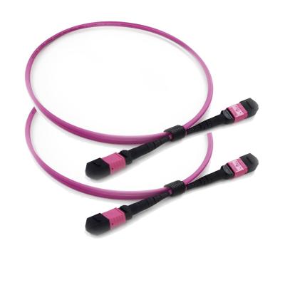 China 12 Fiber MTP Trunk Cable with 1310/1550nm Wavelength and ≤ 0.25dB Insertion Loss for Data Center for sale
