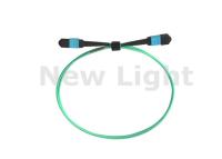 China 0.5 Meter 12 Core MPO MTP Patch Cord with OM2 OM3 OM4 Multimode Cable for Data Center Solutions for sale