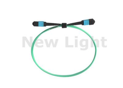 China 0.5 Meter 12 Core MPO MTP Patch Cord with OM2 OM3 OM4 Multimode Cable for Data Center Solutions for sale