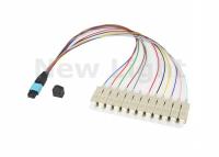 China Multimode OM3 MPO MTP Cable 12 Cores / 24 Cores for Storage Area Networking Fiber Channel for sale