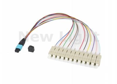 China Multimode OM3 MPO MTP Cable 12 Cores / 24 Cores for Storage Area Networking Fiber Channel for sale