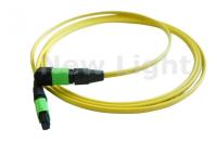 China Single Mode 12 Core MPO MTP Cable with APC Polish CE Approved MTP Trunk Cable for sale