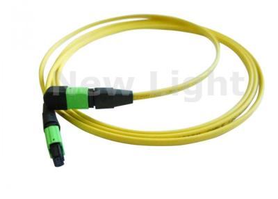 China Single Mode 12 Core MPO MTP Cable with APC Polish CE Approved MTP Trunk Cable for sale