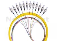 China FC UPC 12 Core Single Mode Fiber Optic Pigtail with 0.9mm Diameter for Data Transmission for sale