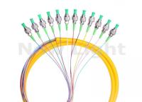 China Single Mode FC UPC 12 Core Fanout Fiber Optic Pigtail with 0.9mm Diameter and Low Insertion Loss for sale
