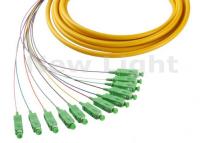 China 1 Meter Single Mode SC APC 12 Core Fiber Optic Pigtail for High-Speed Data Transmission for sale