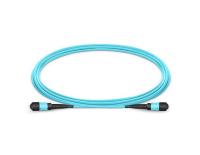 China 12 Core LSZH Material Multi Mode MPO MTP Cable Patch Cord for High-Speed Data Transmission for sale