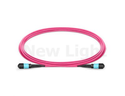 China 12 Core OM4 MPO MTP Patch Cord with 3.0mm LSZH Magenta Cable and Female Connector for sale