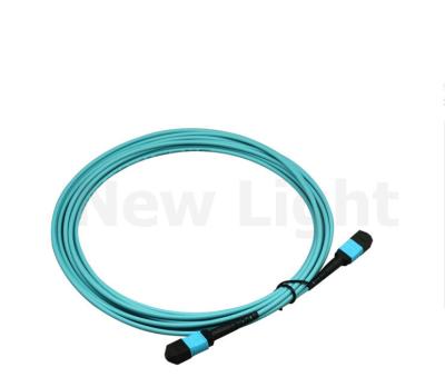 China 12 Core B Type MPO MTP Patch Cord with Customizable Length for High-Speed Data Networks for sale