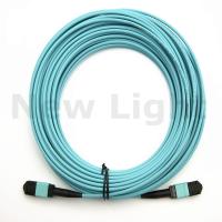 China 50 Meters Single Mode MTP MPO Cable - Customizable Length Fiber Optic Jumping Cable for sale