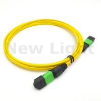 China 1m Single Mode MPO MTP Cable with Male/Female Connector for Low Insertion Loss Fiber Patch Cord for sale