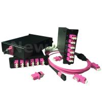 China 1U Rack Mount MPO Cassette Module with 144 Cores OM3 Multimode Fiber Optic Distribution Frame for sale