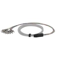 China 0.9mm 12 Core Single Mode Fiber Optic Pigtail with ST Connector and PVC Jacket for sale