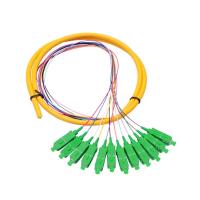 China 12 Core Fiber Optic Pigtail for sale