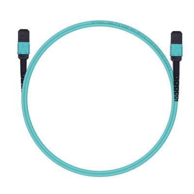 China 12 Core PVC Material MPO MTP Cable with 850/1300nm Wavelength Fiber Optic Patch Cord for sale