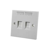China ABS Material Fiber Optic Patch Panel with Dual Ports and Surface Mount Faceplate for 3M Module for sale
