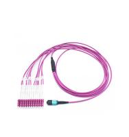 China 12 Core OM4 50/125 MPO MTP Cable LSZH Material Fiber Optic Patch Cord for sale