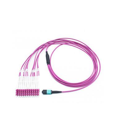 China 12 Core OM4 50/125 MPO MTP Cable LSZH Material Fiber Optic Patch Cord for sale