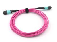 China MPO MTP Cable 12 Fiber Core OM4 Magenta MPO Trunk Cable for High-Speed Networks for sale