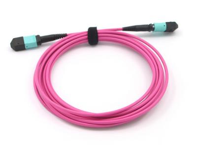 China MPO MTP Cable 12 Fiber Core OM4 Magenta MPO Trunk Cable for High-Speed Networks for sale