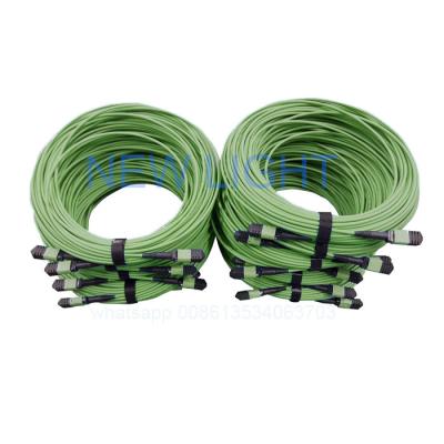 China 12 Core OM4 MPO MTP Cable with Custom Length and MPO Fiber Connector for sale