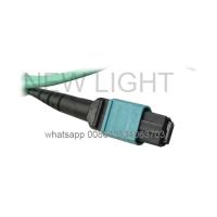 China MTP Breakout Harness Cable with 0.35dB Elite Low Loss Connector for Easy Migration from 10GbE to 40GbE or 100GbE and 500 pcs/day Production for sale